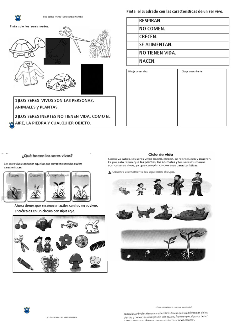 Guías Seres Vivos e Inertes 1° - 2019 | PDF | Vida | Organismos