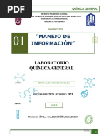 Ejemplo de Bosquejo 2021 | PDF | Science | Ciencia (general)