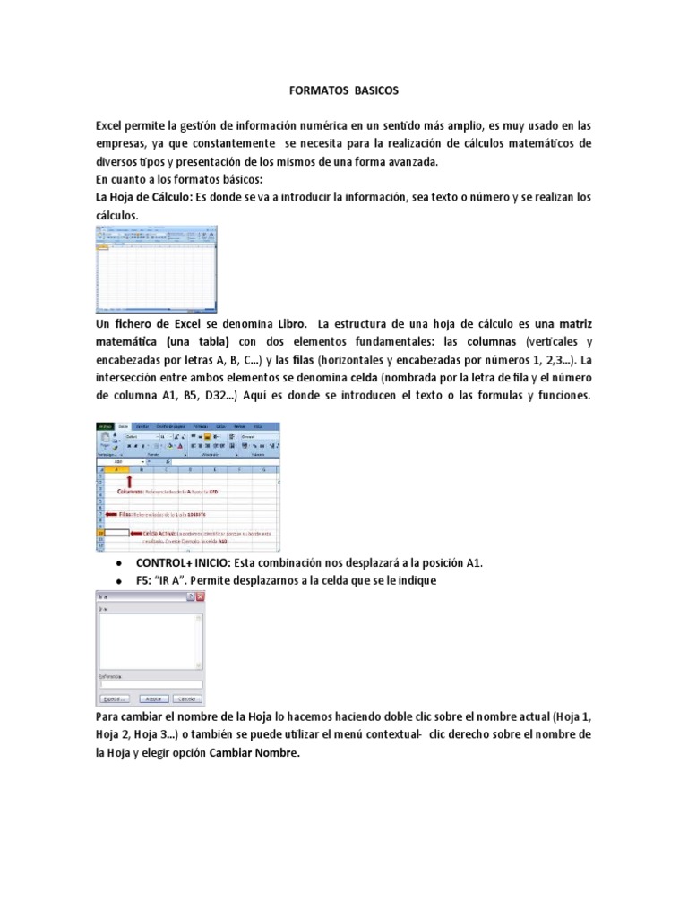 Formatos Basicos | PDF | Hoja de cálculo | Informática