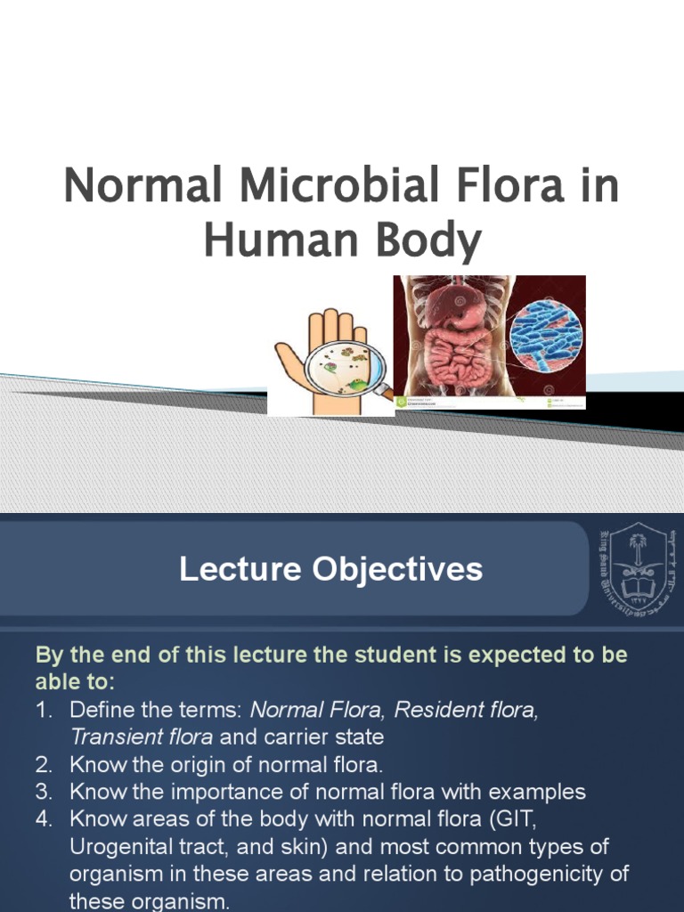 Normal Microbial Flora in Human Body-1st Discussion | PDF ...