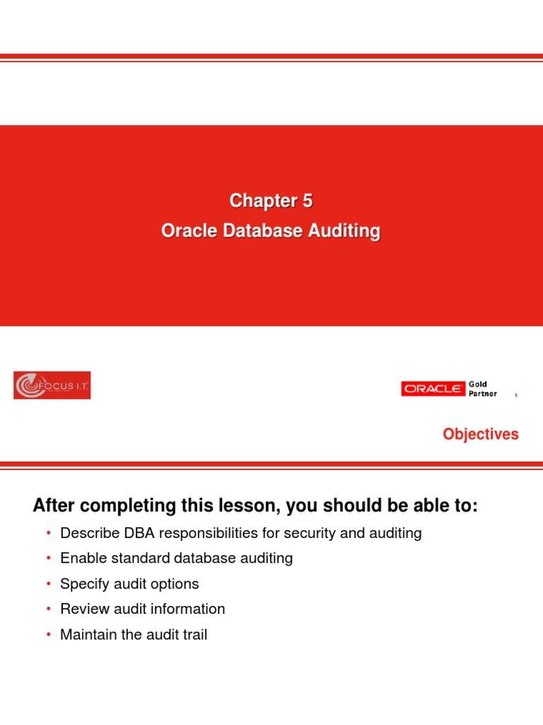 Oracle Database Auditing Using Accounting Setup Manager Pdf Databases Information Management