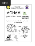 Halamang Dahon | PDF