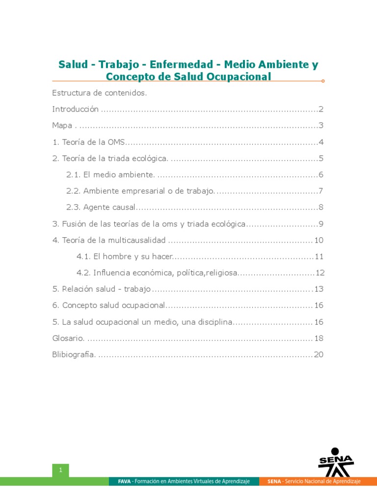 Ppt. Salud Ocupacional | PDF | Seguridad y salud ocupacional | Entorno ...