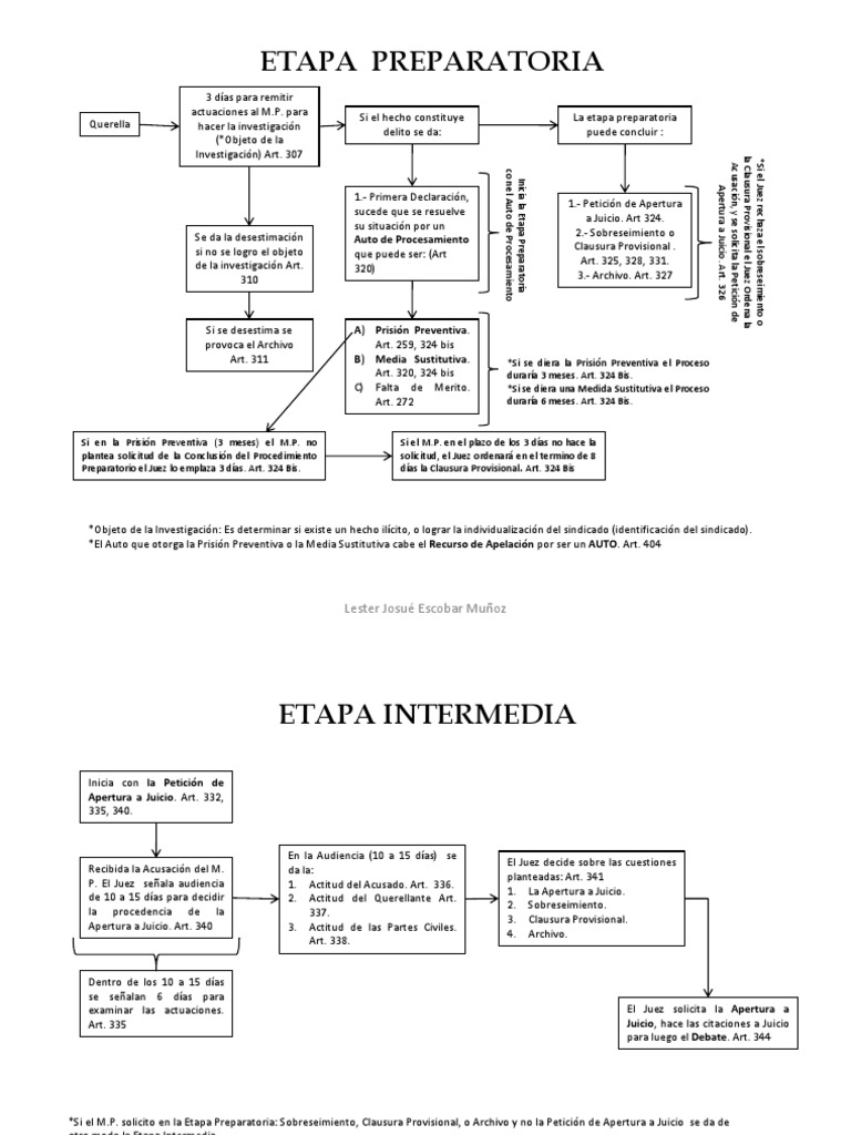 Etapas Del Proceso Penal | PDF | Sentencia (ley) | Queja