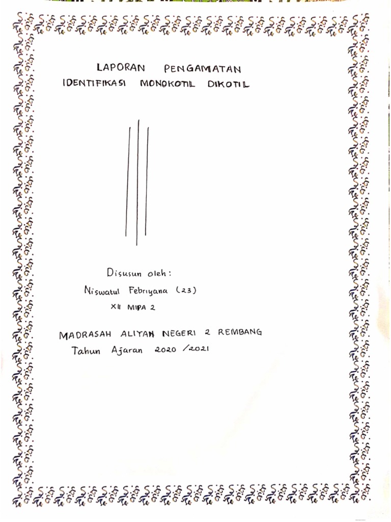 Niswatul - Identifikasi Monokotil Dikotik | PDF