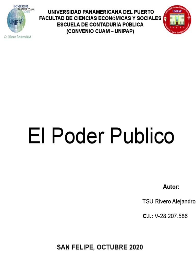 El Poder Publico - Infografia | PDF | Gobierno | Ley Pública