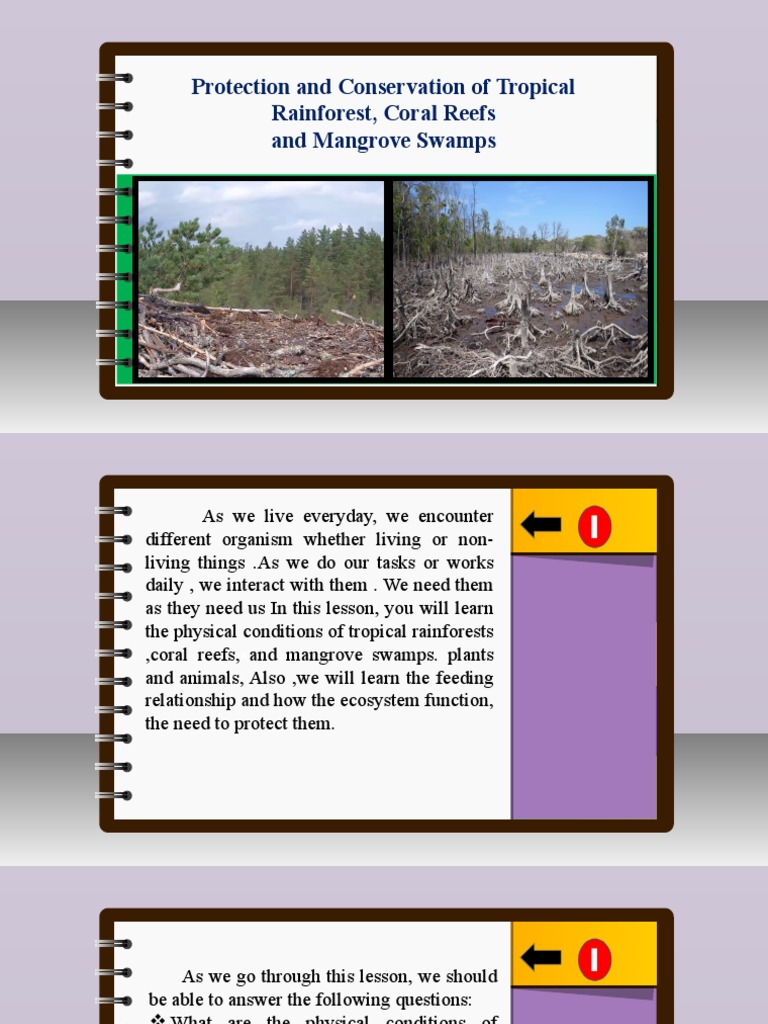 Science 6 - Q2 - L9 - Protection and Conservation of Tropical ...