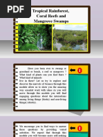 Classroom Observation Tool (COT) | PDF | Curriculum | Learning