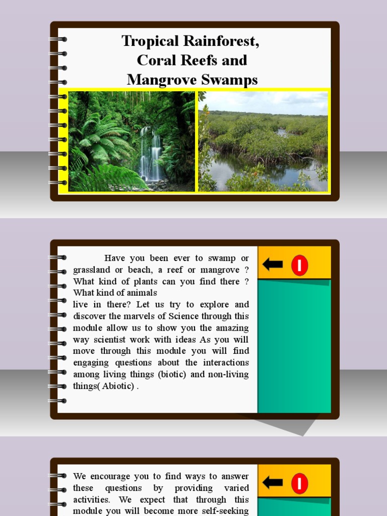 Science 6 - Q2 - L8 - Tropical Rainforest, Coral Reefs and Swamps | PDF ...
