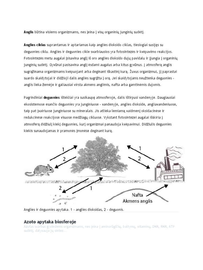Azotas Ir Anglis | PDF