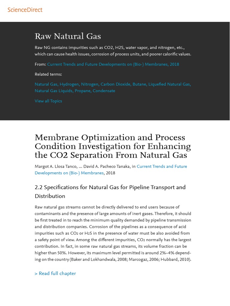 Raw Nat Gas | PDF | Natural Gas Processing | Chemical Industry