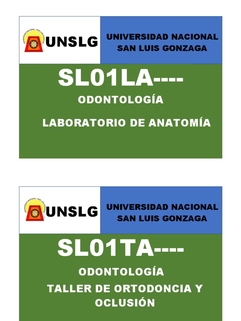 Formato - Rótulos - Laboratorios | PDF