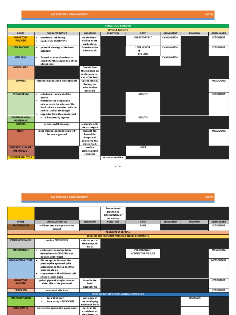 4Mm Frog Embryo: Lab Exercise 4 Organogenesis | PDF | Pituitary Gland ...