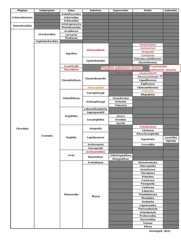 Phylum Subphylum Class Subclass Superorder Order Suborder: Acanthodii ...