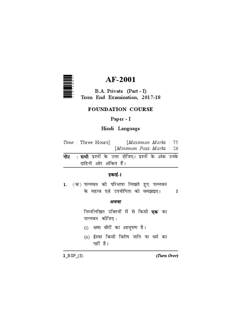 Hindi Language Questions Paper | PDF