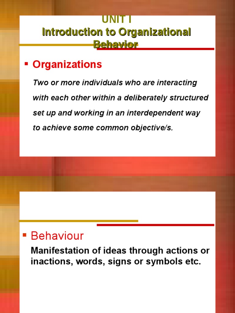 Introduction to Organizational Behavior | PDF | Organizational Behavior ...