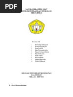 MECONEURO 500MCG - Manfaat, Dosis, Efek Samping - K2 | PDF | Sains ...