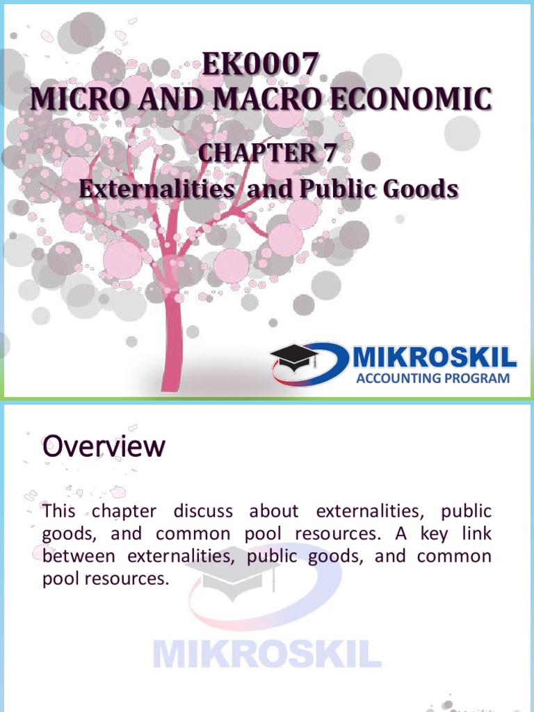 Understanding Externalities and Public Goods | PDF | Externality ...