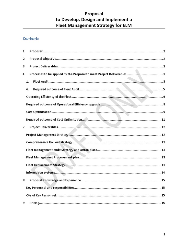 Fleet Strategy Proposal | PDF | Feasibility Study | Vehicles