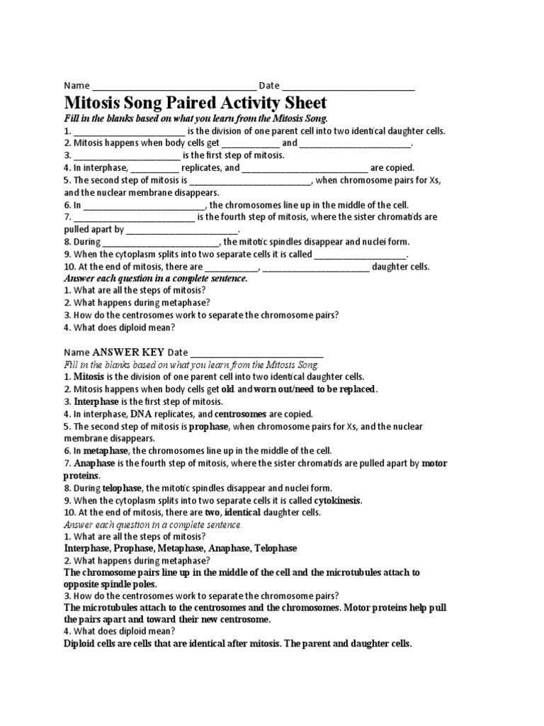 Mitosis Song Paired Activity Sheet: Name - Date | Download Free PDF ...