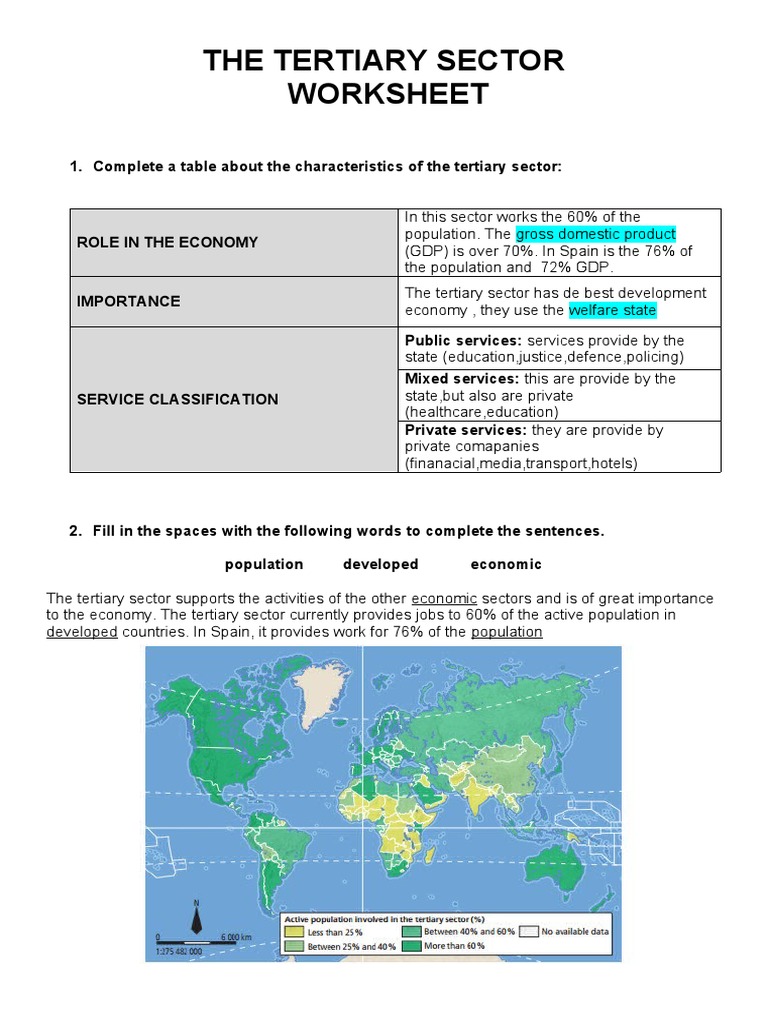 The Tertiary Sector Worksheet | PDF | Tourism | Health Care