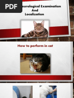 Gans Sensory Organization Performance (SOP) Test | PDF | Vertigo ...