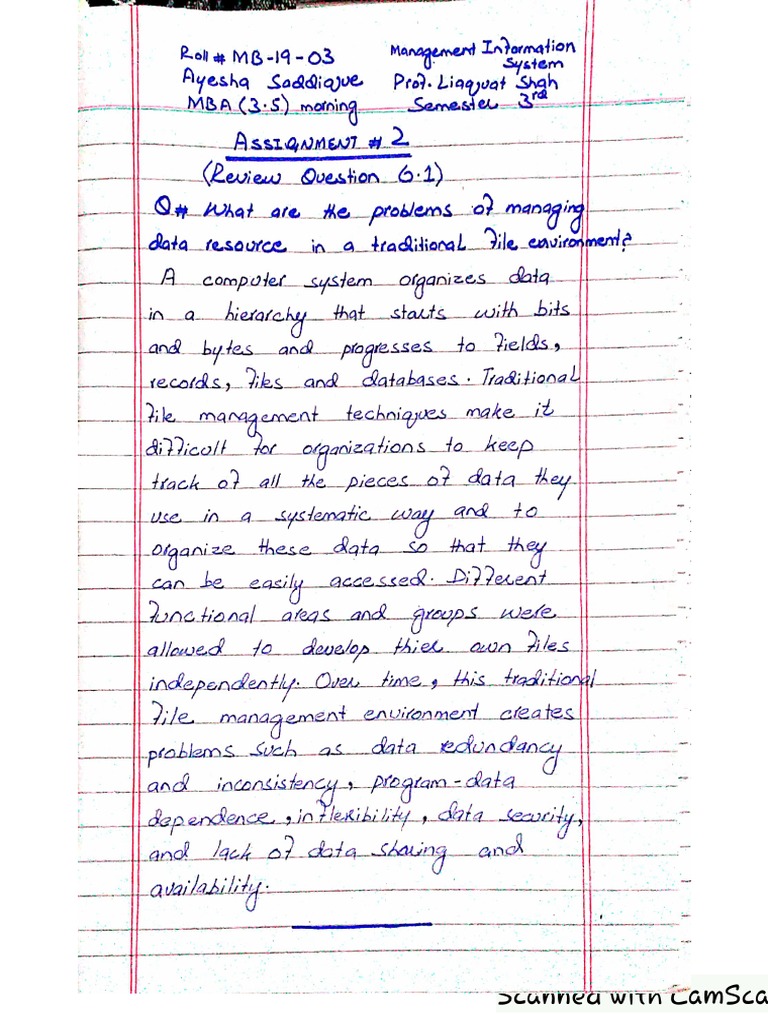 MIS Assignment | PDF