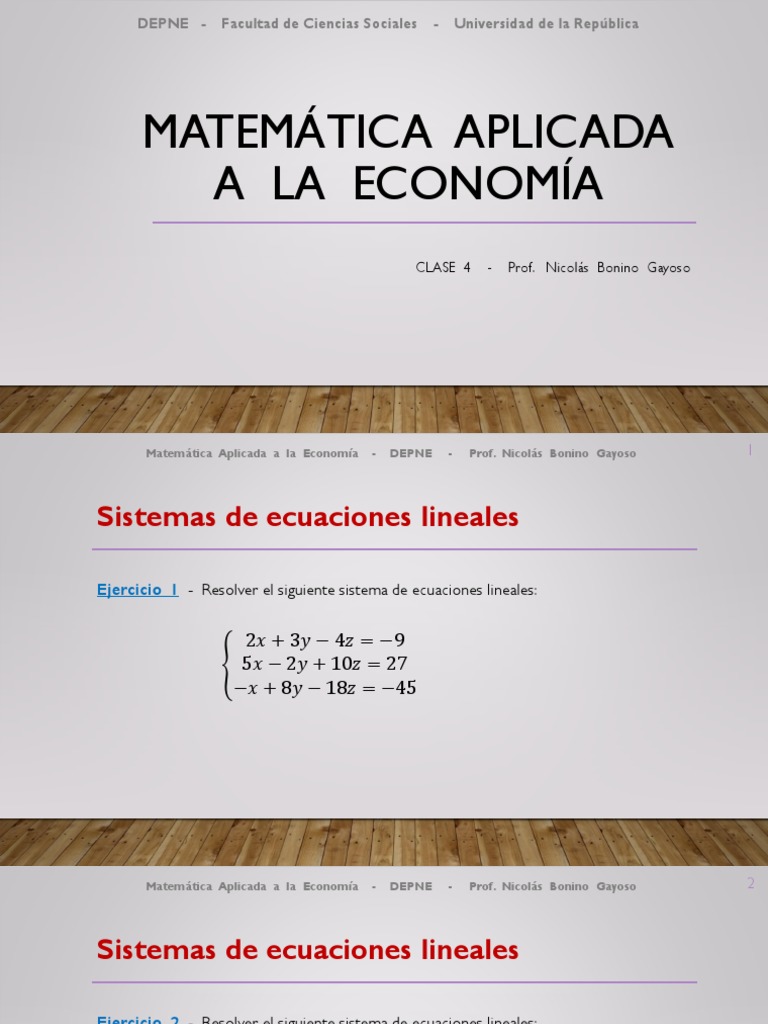 Mat DEPNE - Clase4 | PDF | Matriz (Matemáticas) | Determinante