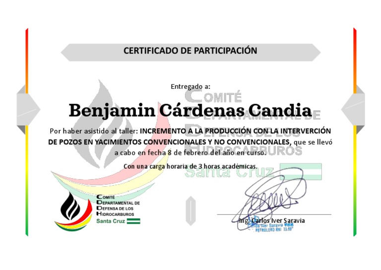 Benjamin Cardenas Candia | PDF