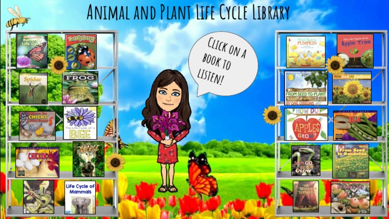 Animal and Plant Life Cycle Book | PDF
