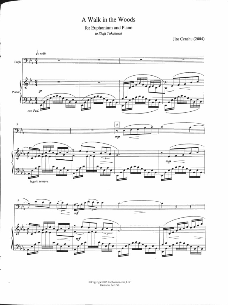 A Walk in The Woods | PDF