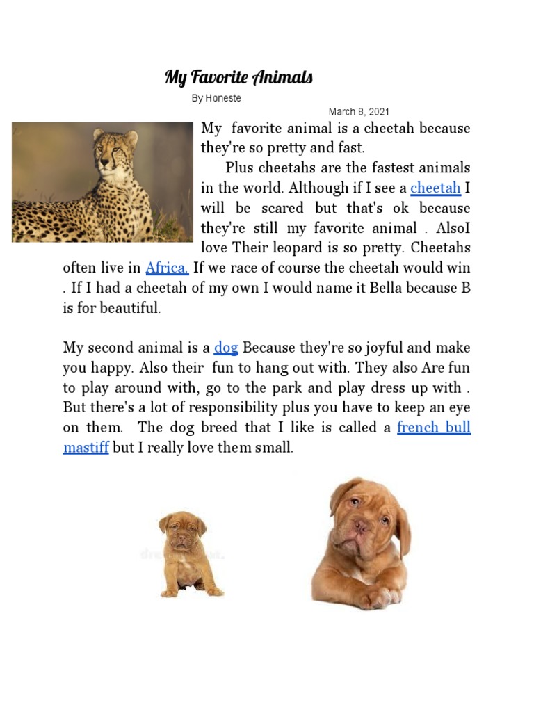 My Favorite Animals | PDF