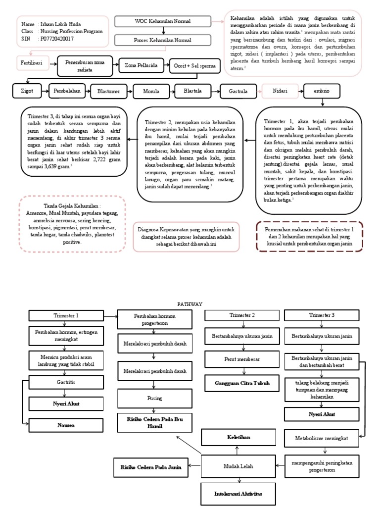 KEHAMILAN NORMAL | PDF