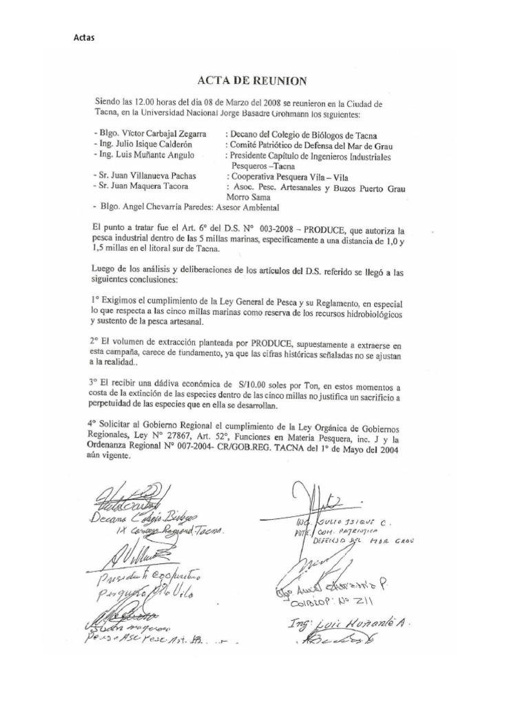 3 Ejemplos de Actas | PDF