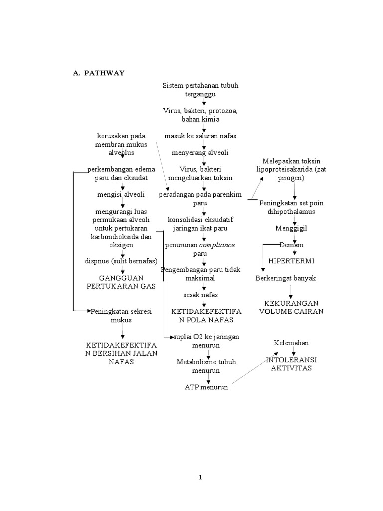 Pathway Pneumonia | PDF