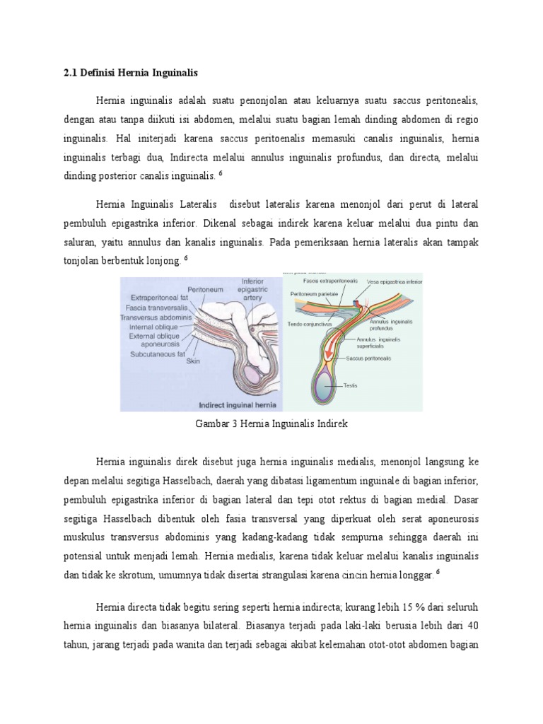 Definisi dan Klasifikasi Hernia Inguinalis | PDF