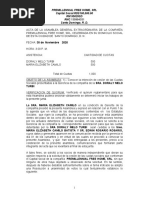 Certificado de Acciones MODELO | PDF | Compartir (Finanzas) | Gobierno