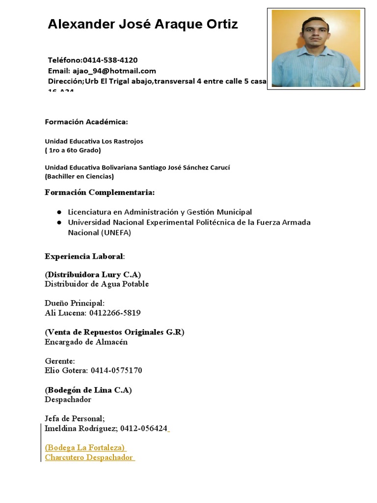 Curriculum Ale | PDF