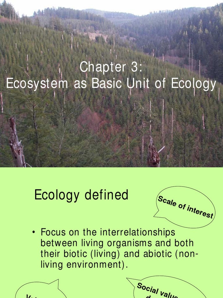 Ecosystem As Basic Unit of Ecology | PDF | Ecosystem | Ecology