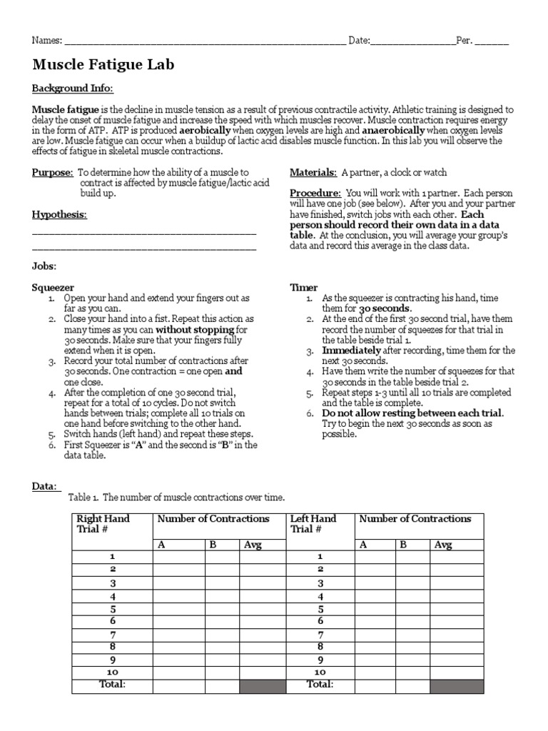 Muscle Fatigue Lab Experiment Guide | PDF | Muscle | Sports Science