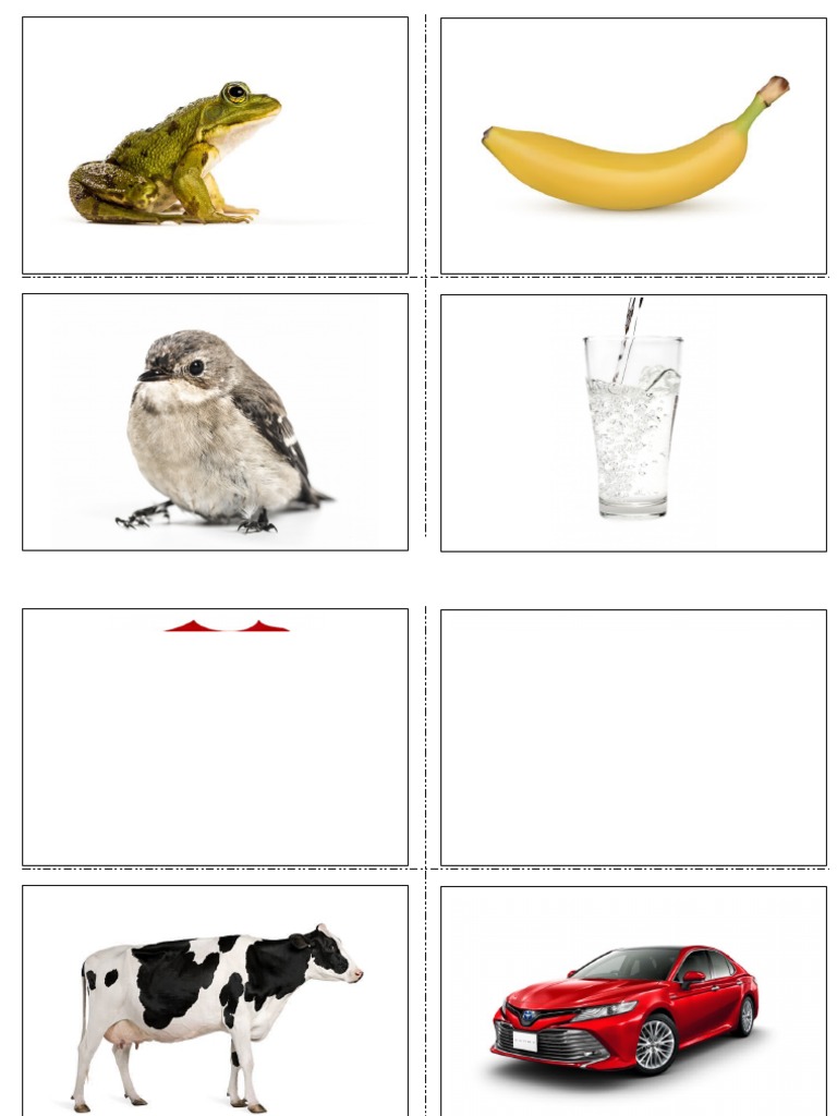 Set 5 (25 LRFFC Pictures) | PDF