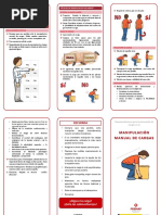 Triptico Higiene Postural | PDF | La columna vertebral | Anatomía humana