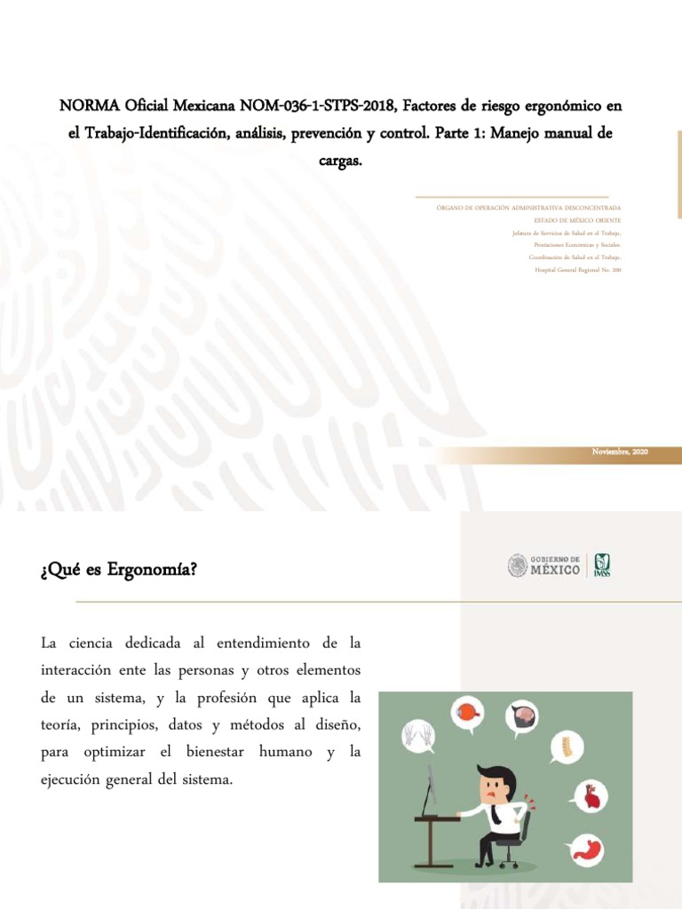 Platica NOM-036-01-STPS-2018 | PDF | Factores humanos y ergonomía ...