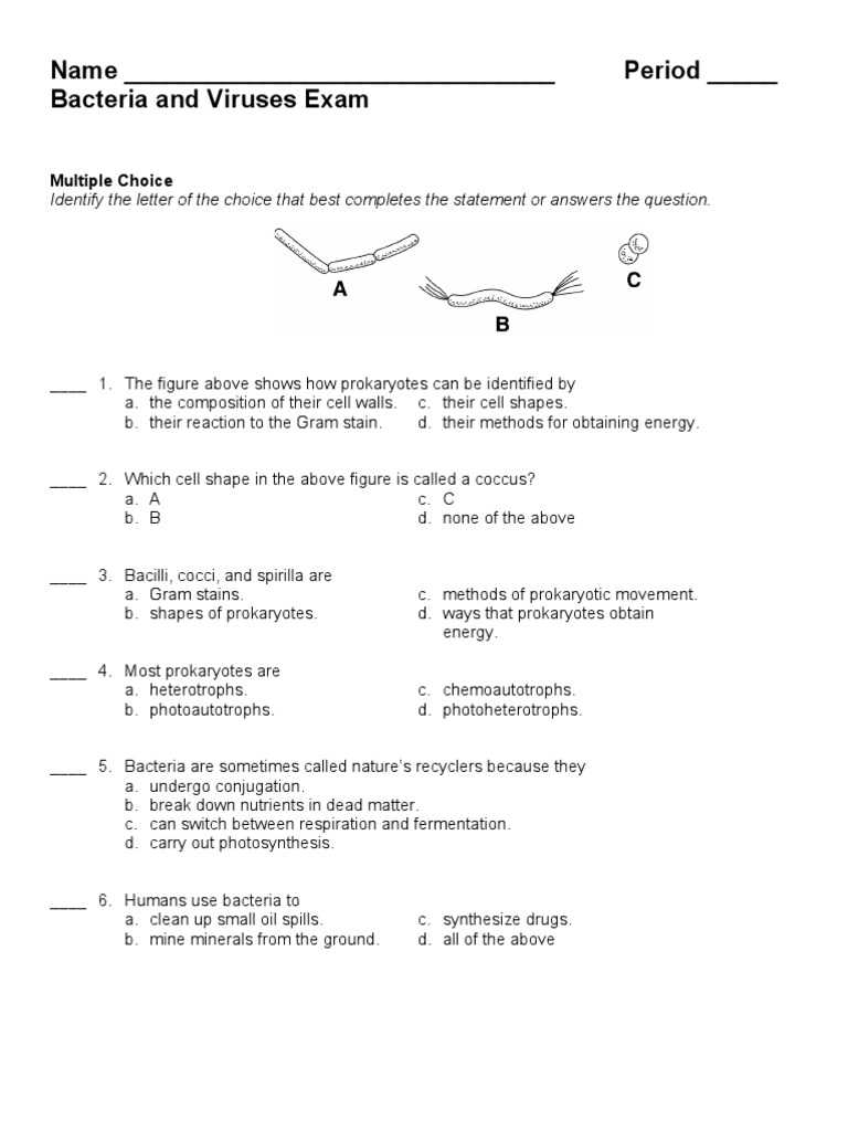 Bacteria and Viruses Exam | PDF | Virus | Bacteria