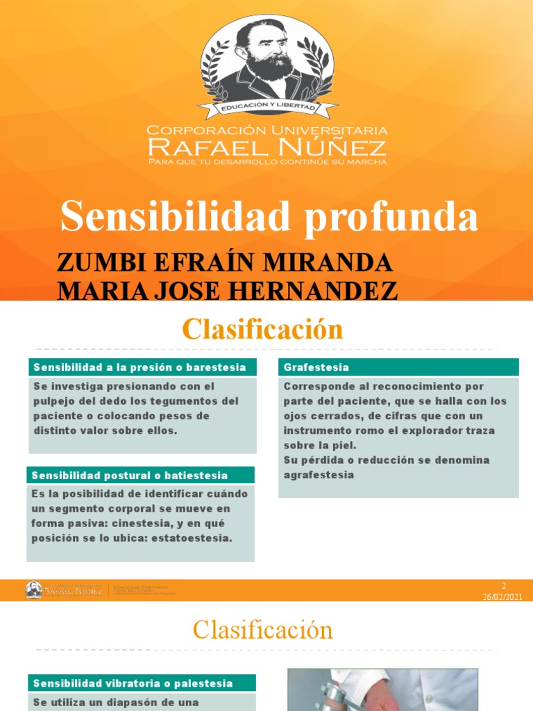 Sensibilidad Profunda | PDF