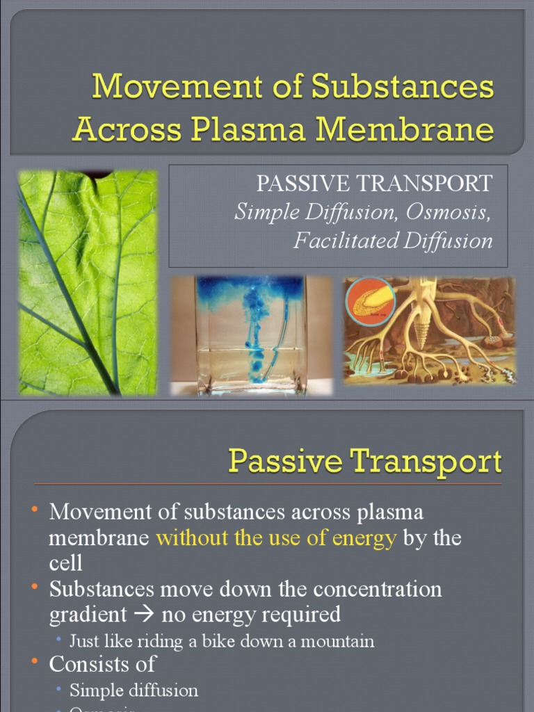 Movement of Substances Across Plasma Membrane | PDF | Cell Membrane ...