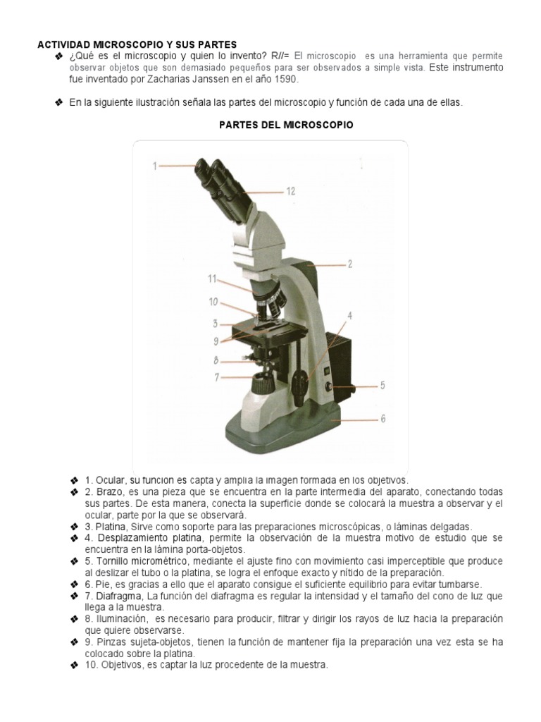 Actividad Microscopio y Sus Partes | PDF | Microscopio | Óptica