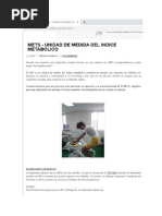 Mets Tabla de Indice Metabolico Segun Actividad | PDF