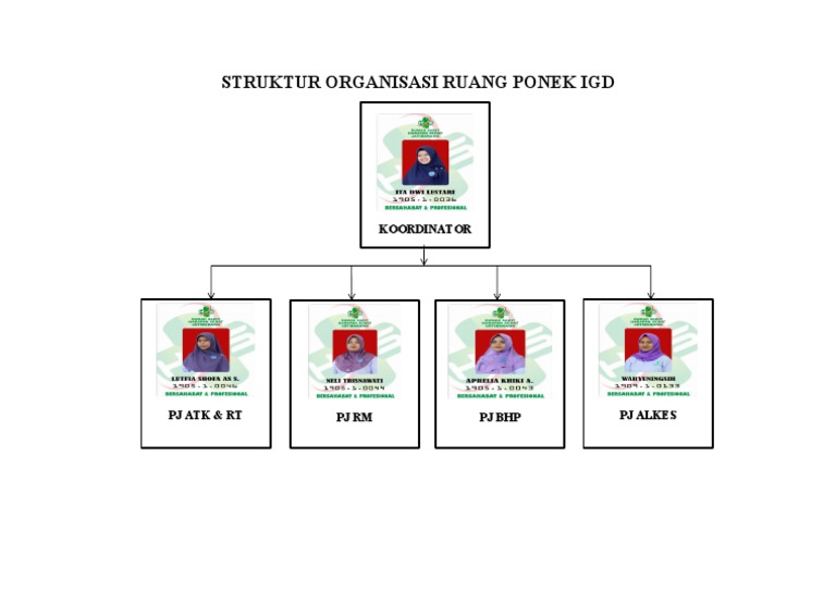 Struktur Organisasi Ruang Ponek Igd | PDF