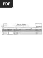 Nuevo Formato HIS | PDF | Medicina | Cuidado de la salud